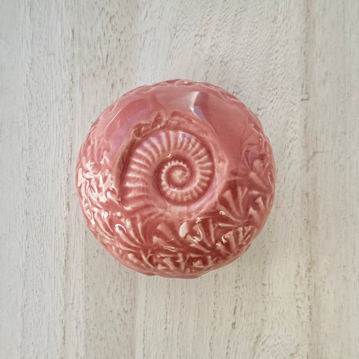 Ammonite Rattle - Pink | Valerie's Gallery